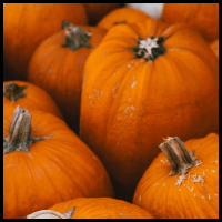 Best things to buy in October - Mighty Bargain Hunter