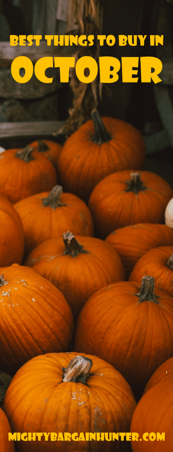Best things to buy in October - Mighty Bargain Hunter